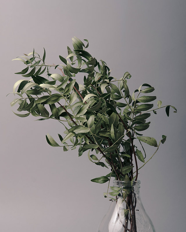 Anders Bundgaard — Photography