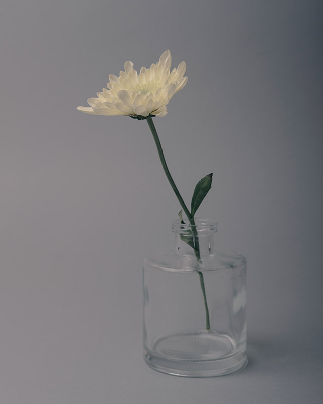 Anders Bundgaard — Photography