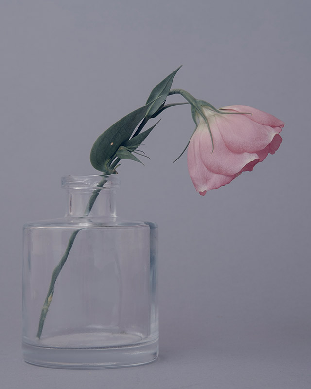 Anders Bundgaard — Photography