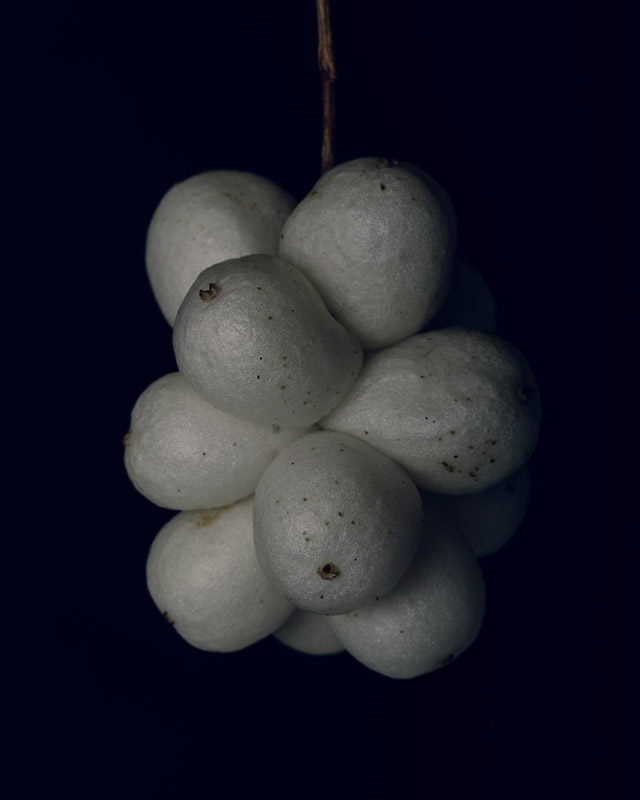 Anders Bundgaard — Photography