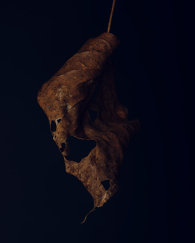 Anders Bundgaard — Photography