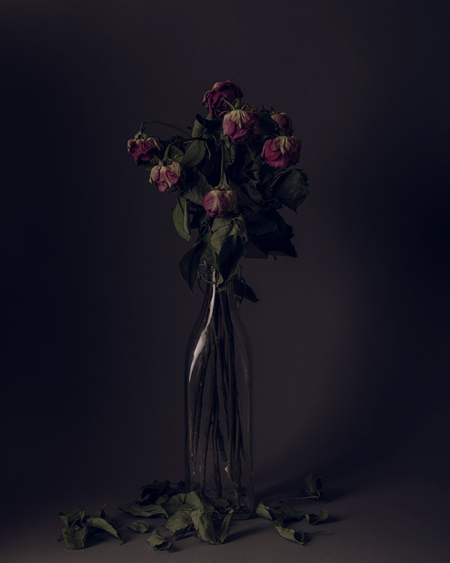 Anders Bundgaard — Photography