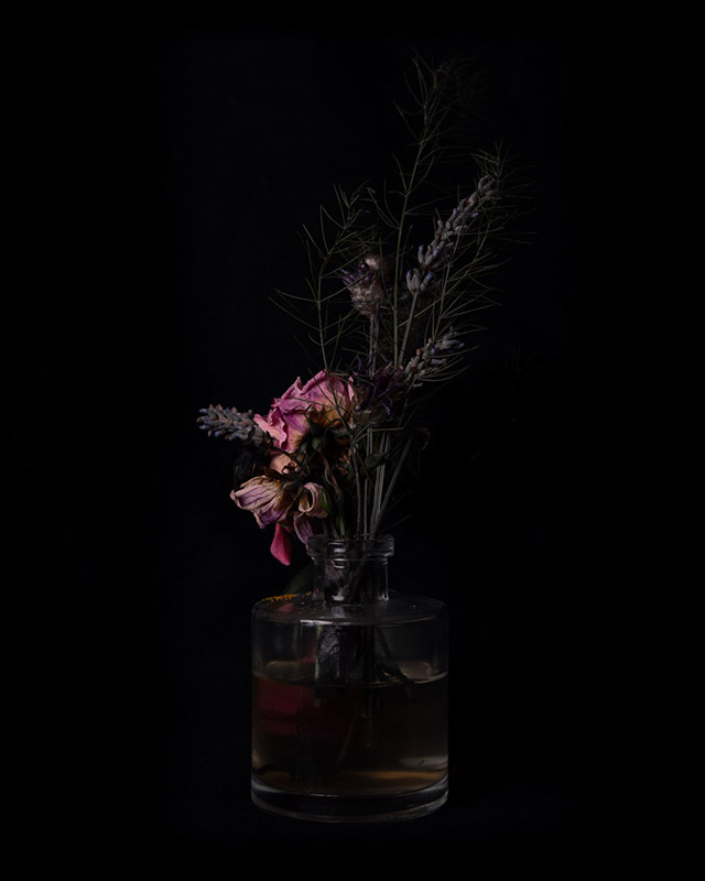 Anders Bundgaard — Photography