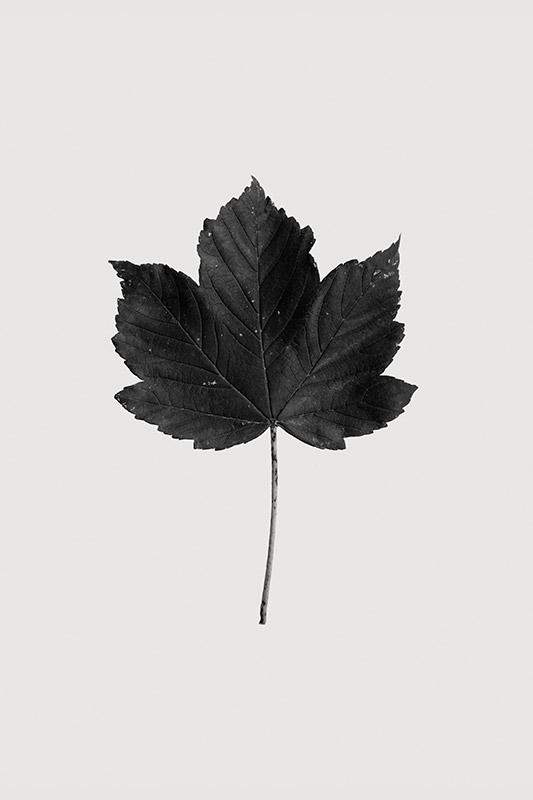 Anders Bundgaard — Photography