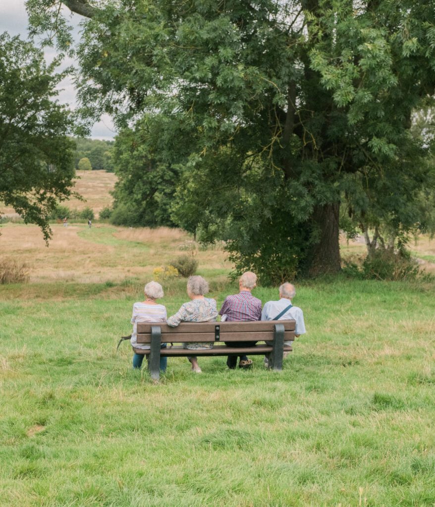 Whitewebbs – a portrait – Anders Bundgaard